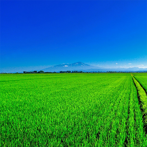 Fertilizer | Pacific Trading Co.,Ltd.～Fishery Materials/Equipment～